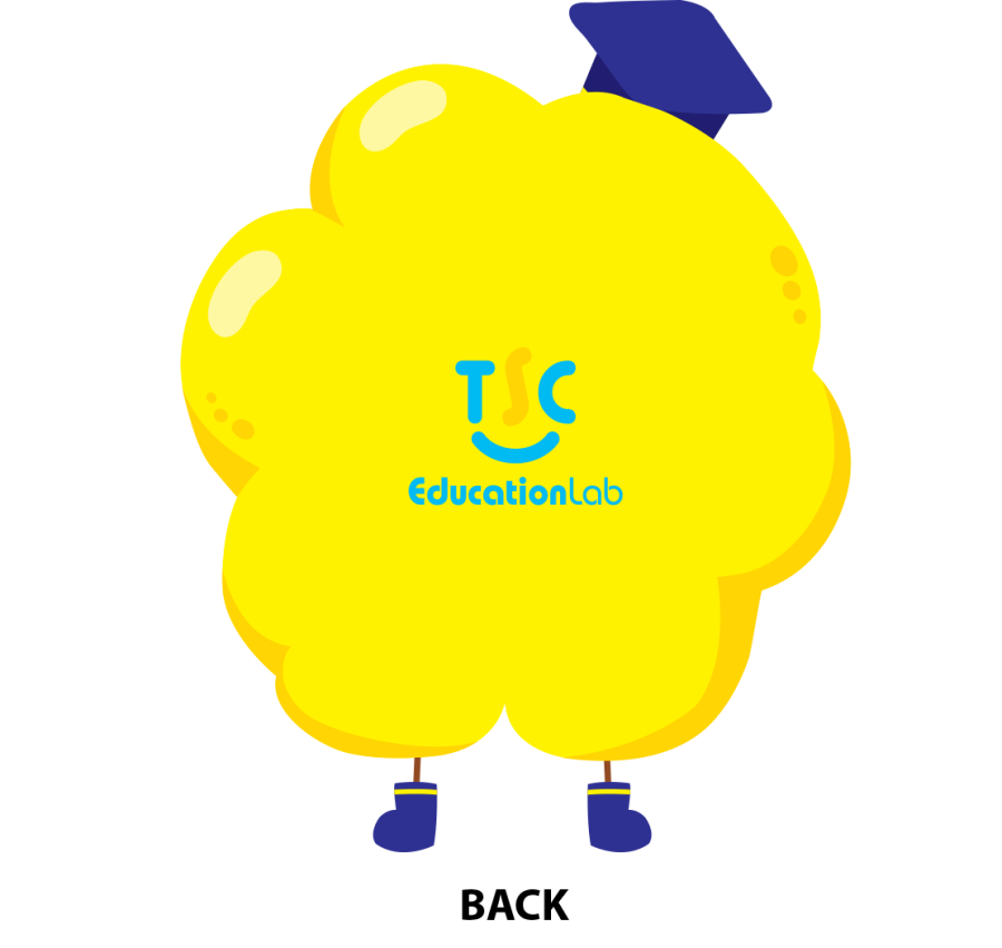 Vision, Mission, Values & Our Mascot - TSC Education Lab Pte Ltd